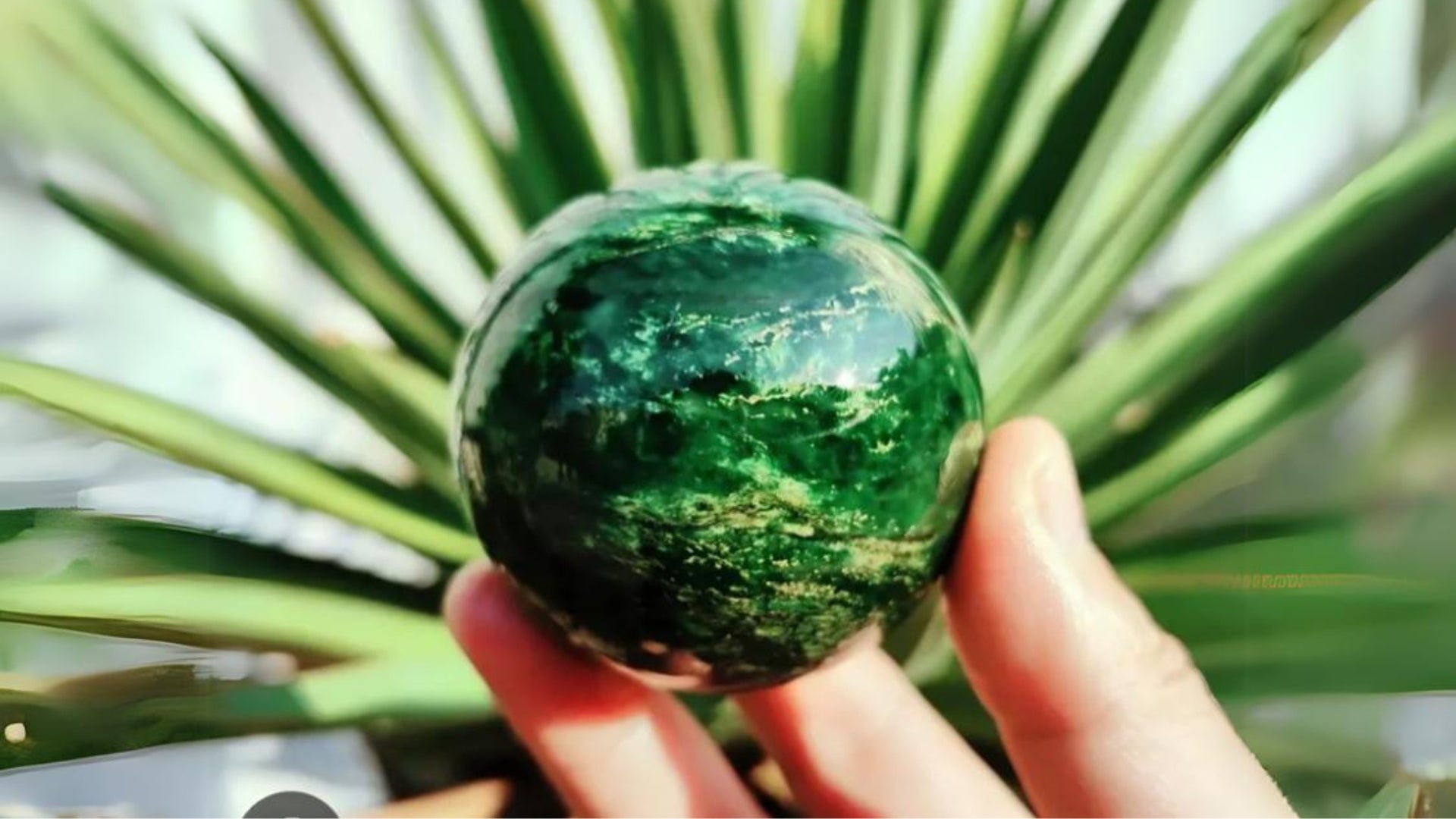 Emerald Jasper – Little Shop of Crystals